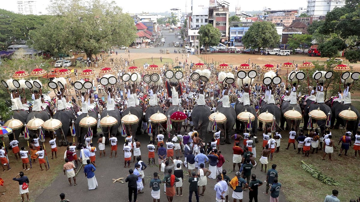 Thrissur sees scaled-down pooram procession