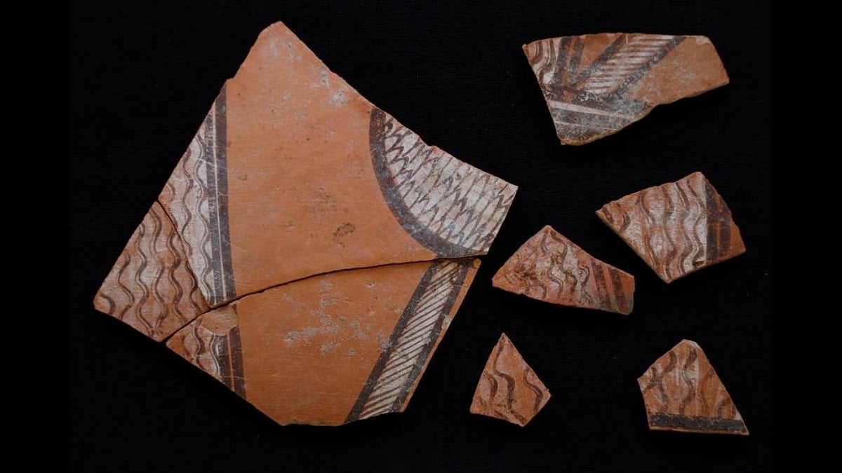 Decoding Harappa’s culinary culture