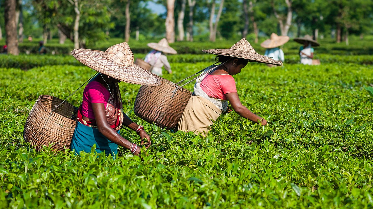 5 Muslim groups in Assam to get 'indigenous community' status to ...