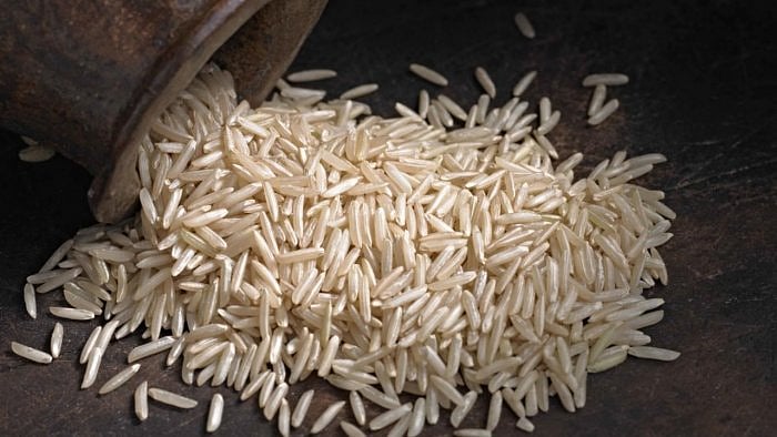 India bans export of broken rice