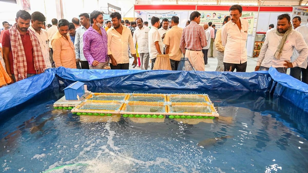 Govt to set up fish stalls in all 243 BBMP wards