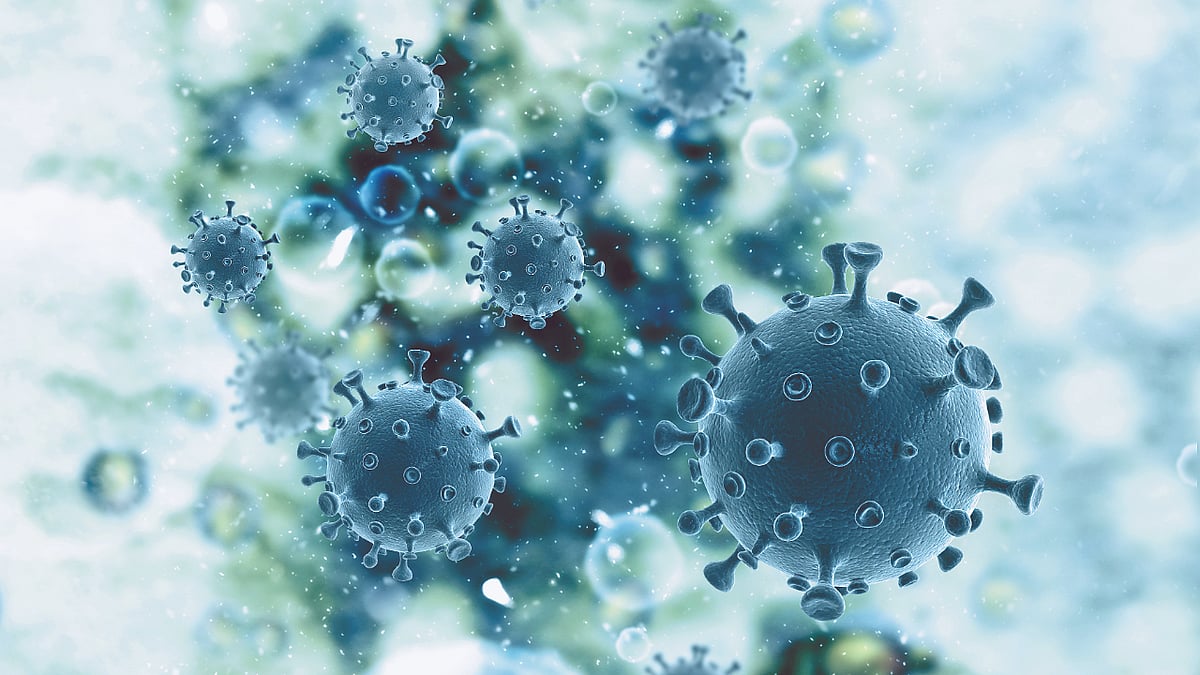 A new way to name bacteria: 300-year-old system revised thanks to ...