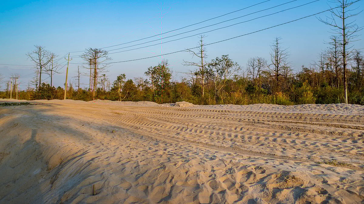 Sand deposits due to flood hit paddy cultivation in Assam's Dhemaji