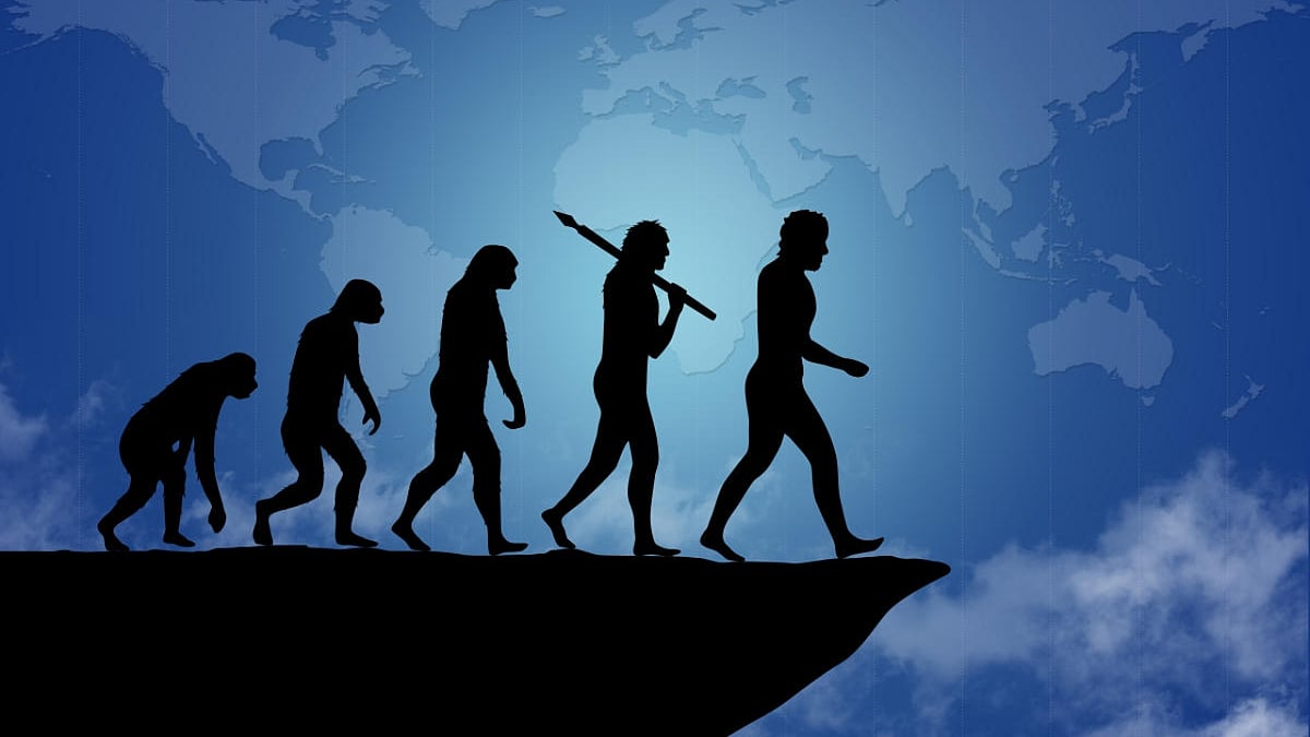 Large mammals shaped the evolution of humans: here's why it happened in ...