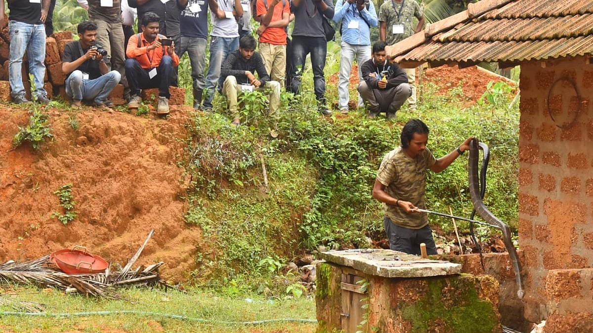 Hiss Highness: The snakes of Agumbe