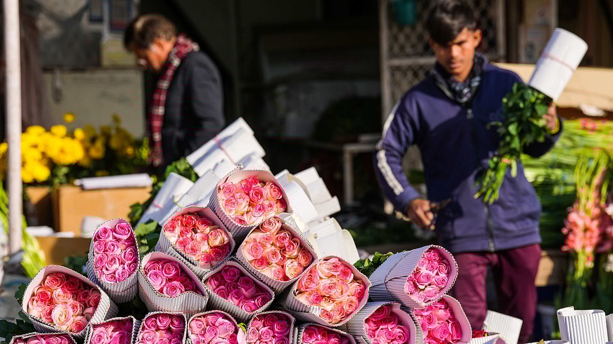 Valentine's Day celebrated across country, right-wing outfits play ...