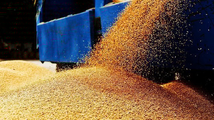 Wheat output expected to surpass estimate of 112.18 million tonne this ...