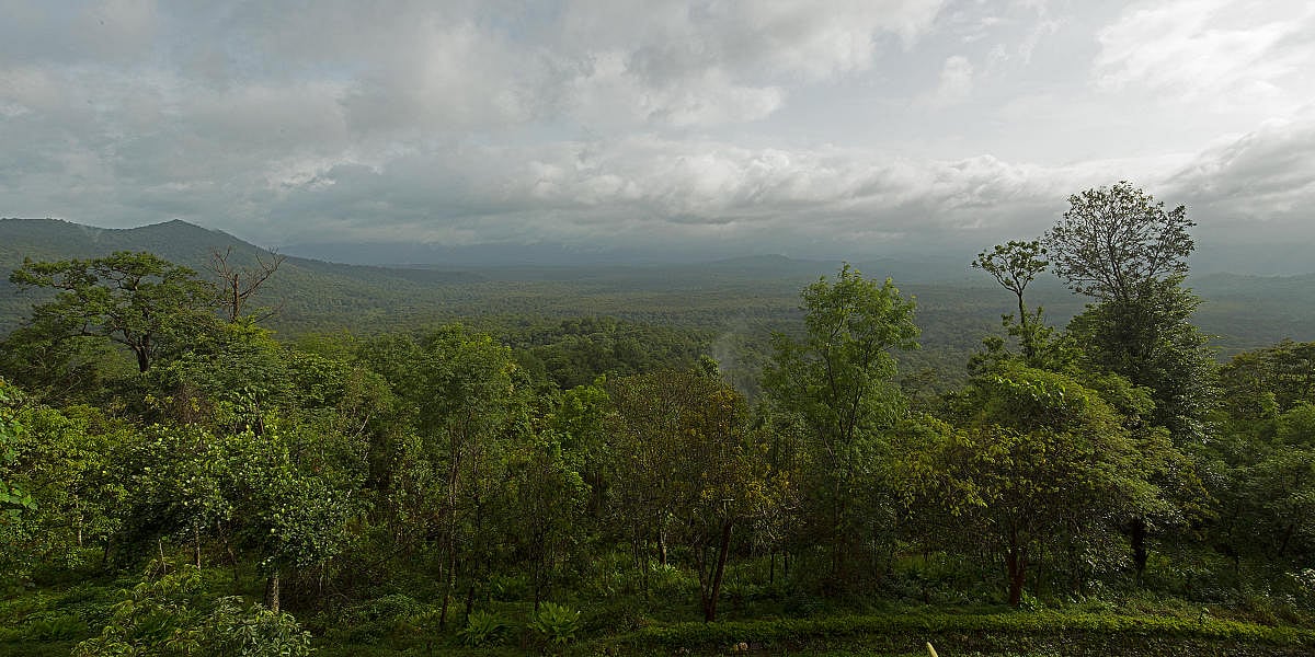 A mystery at Bhadra