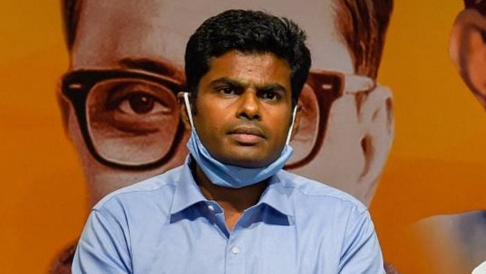 BJP Tamil Nadu chief Annamalai, DMK's Dayanidhi Maran and Raja file Lok ...