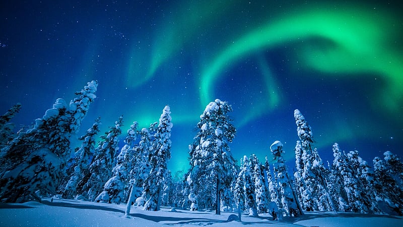 In Pics| Best places to spot Northern Lights