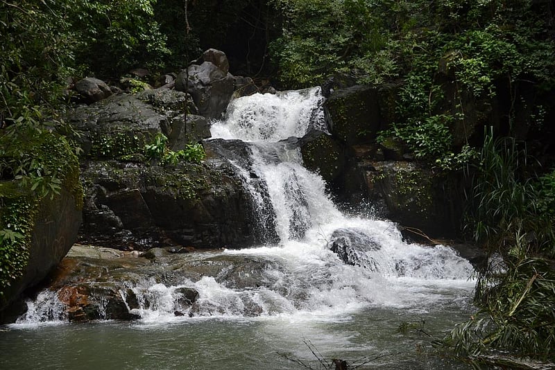 A monsoon revival
