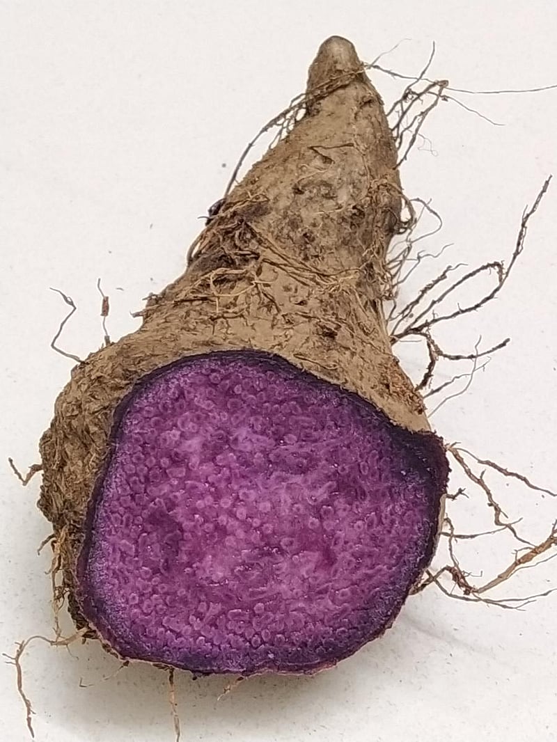 Purple yam: A return to the roots