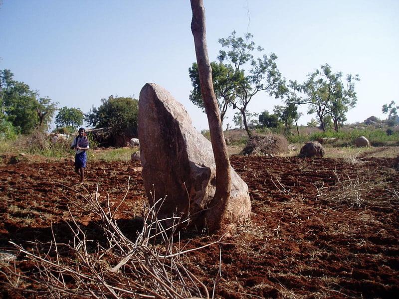 A requiem for Hanamsagar, India’s largest stone alignment