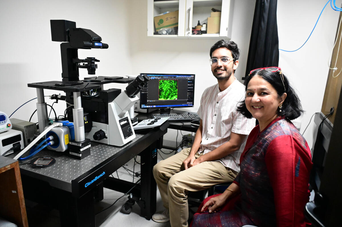 Centre for Brain and Mind to steer research on five mental disorders