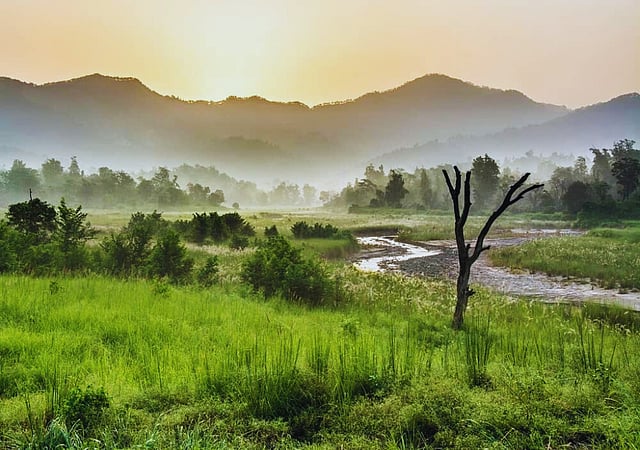 World Environment Day 2026: 10 Ways Dehradun Can Stay Green