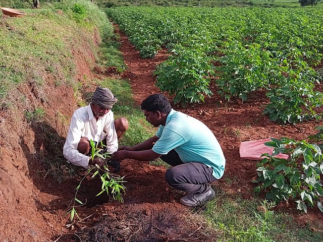 World Environment Day 2026: 10 Ways Dehradun Can Stay Green