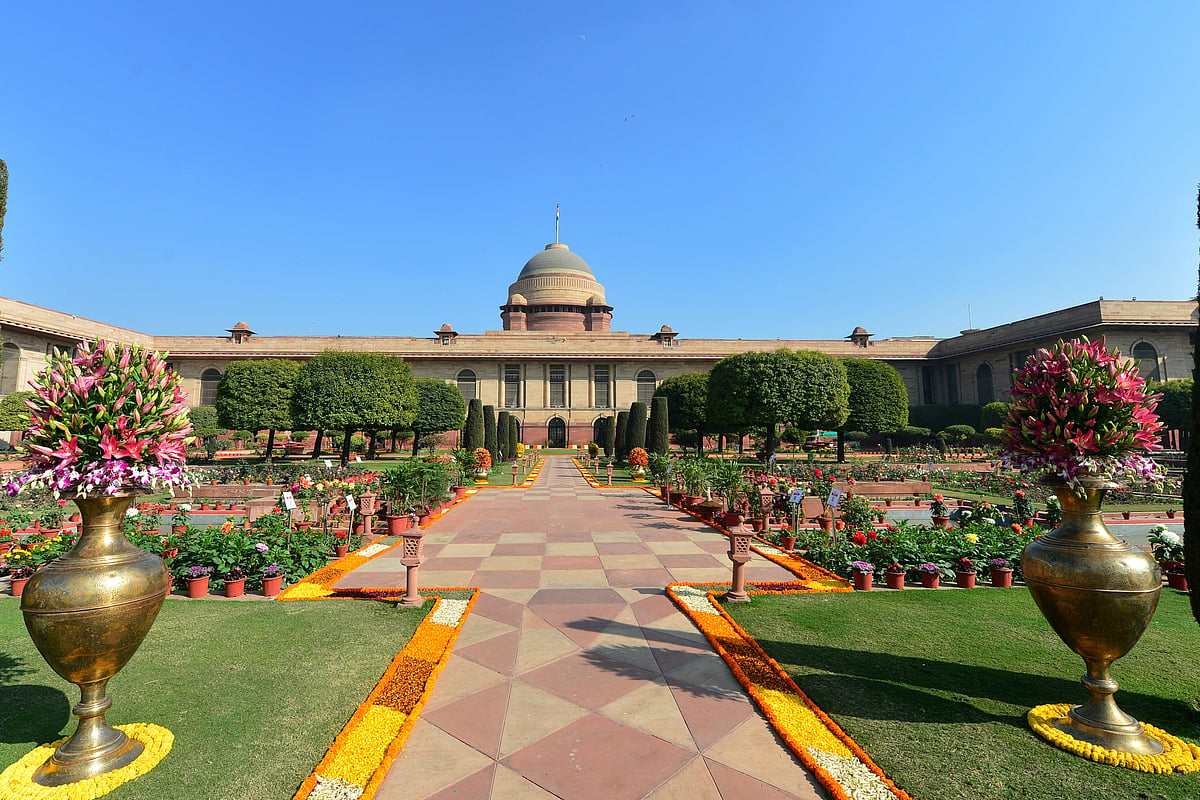 Explore Amrit Udyan: Rashtrapati Bhavan's Iconic Garden Opens Feb 3