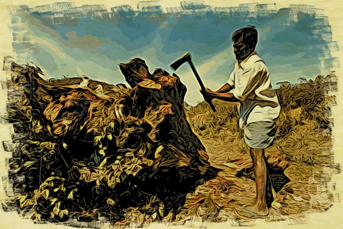 The Woodcutter Who Taught True Shiva Bhakti to the Pandya King