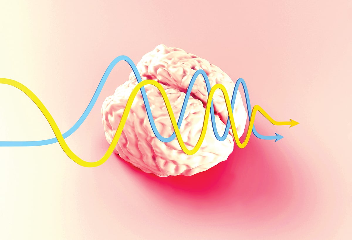 What is 'Brain Rot'?