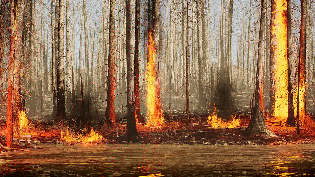 Understanding the fury of wildfires