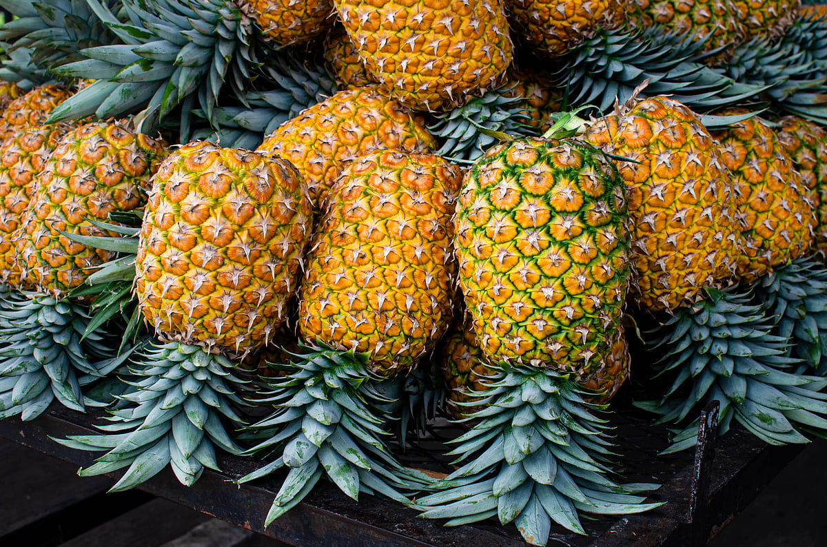 5 pineapple facts that will make your head spin