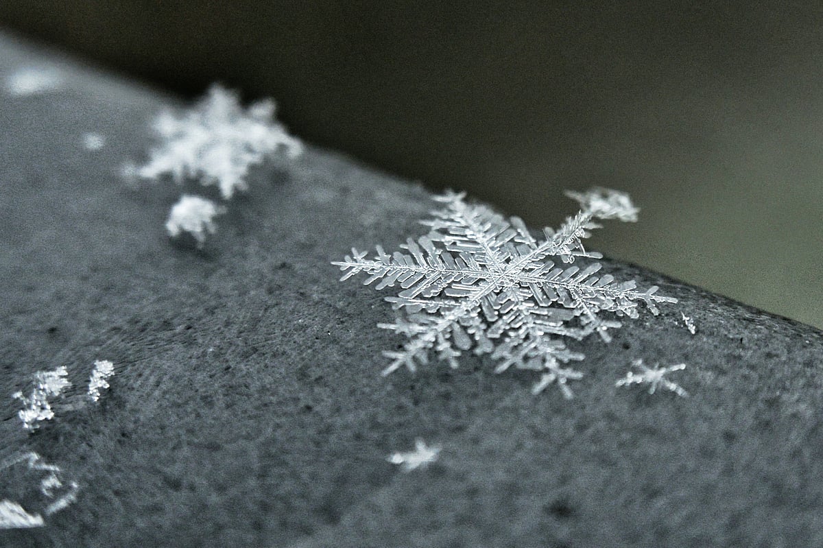 QUIZ TIME: How well do you know snowflakes?