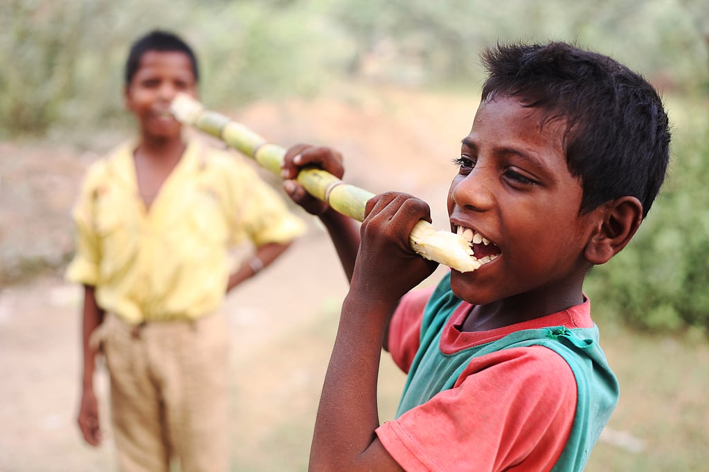 The science of Sankranti