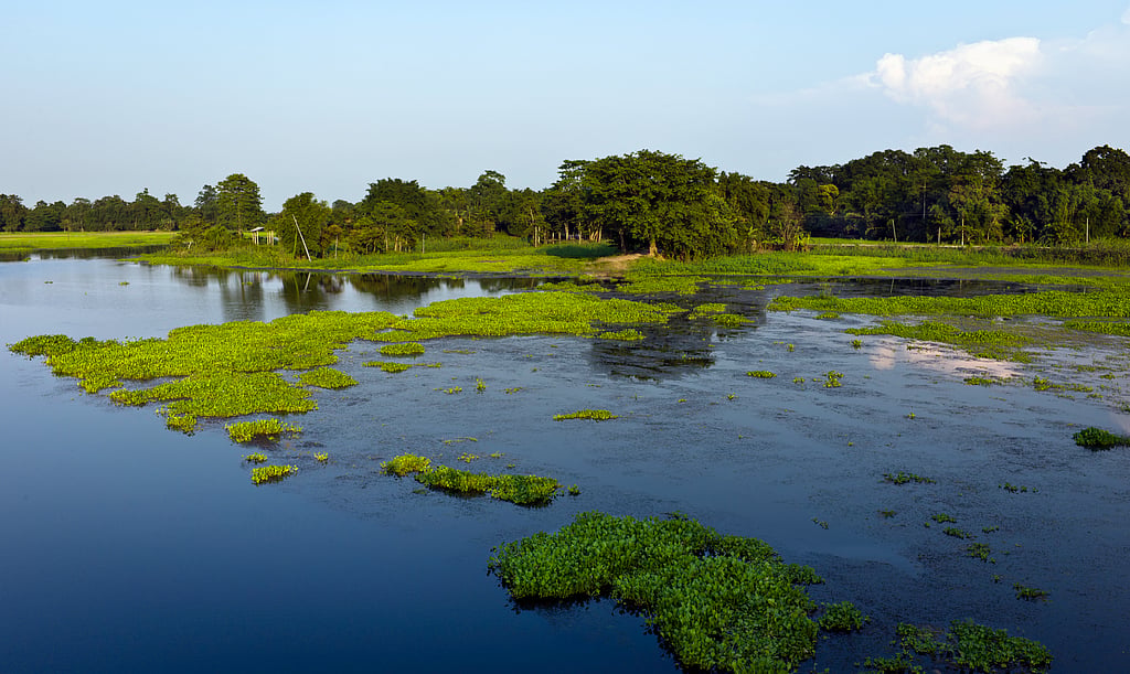 The fragile beauty of Majuli