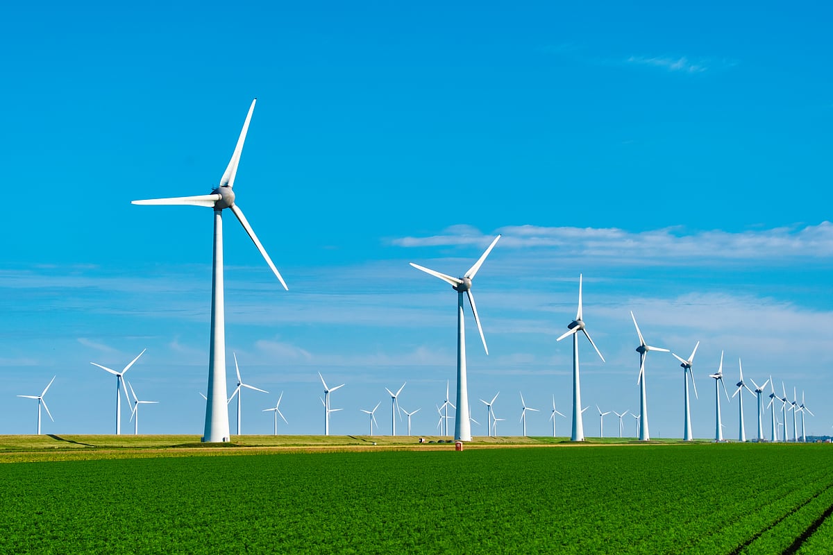 Global Wind Day: How humans learned to harness the wind