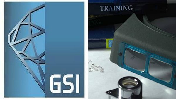 GSI adds Virtual Diamond Examination to its list of applications