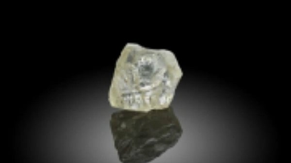 Foxfire diamond to showcase at Smithsonian’s National Museum of Natural ...