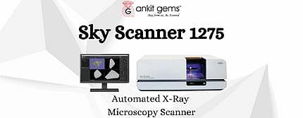 Ankit Gems Leads the Way in Namibia, by Deploying Skyscanner 1275