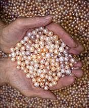 GIA to present a focus on Pearls