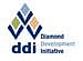 DDI appoints Rory More O'Ferrall as its honorary vice chairman