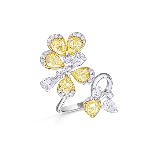 The Growing Appeal of Fancy Colour Diamonds in India