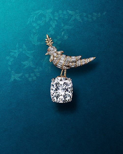 Tiffany & Co. Unveils High Jewelry Campaign Celebrating Legacy and ...