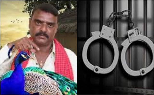 Dinamani Live Tamil News, Tamil News | Online Tamil News | Tamil News ...