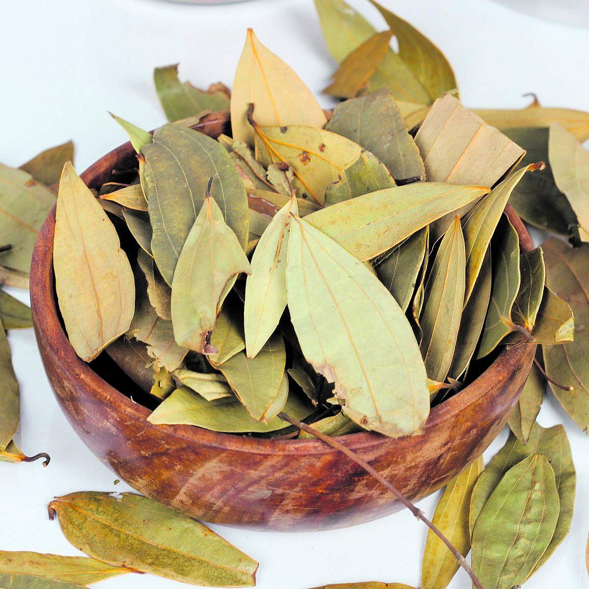 பிரியாணி இலையின் மருத்துவ குணங்கள்!