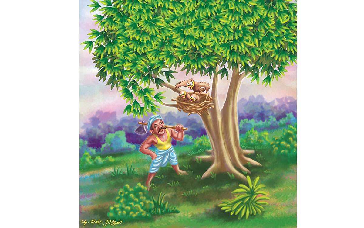 Myth: Birds of a feather