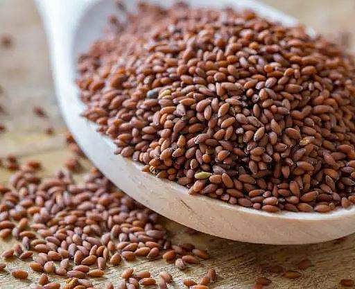 மாதவிடாயை சீராக்க உதவும் சாலியா விதை: ஆய்வில் தகவல்