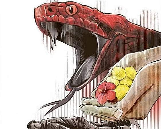 ICMR creates awareness as snake bite cases rise