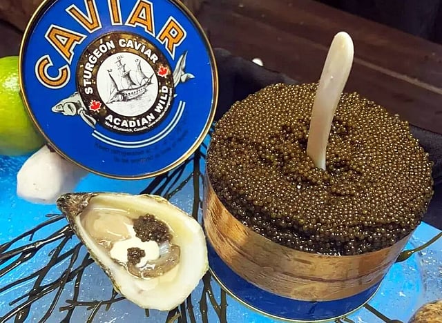 Sturgeon and Caviar Experiences in New Brunswick
