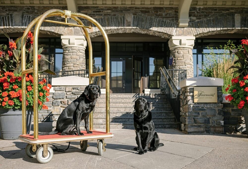 Canine Ambassadors at the Fairmont Hotels & Resorts