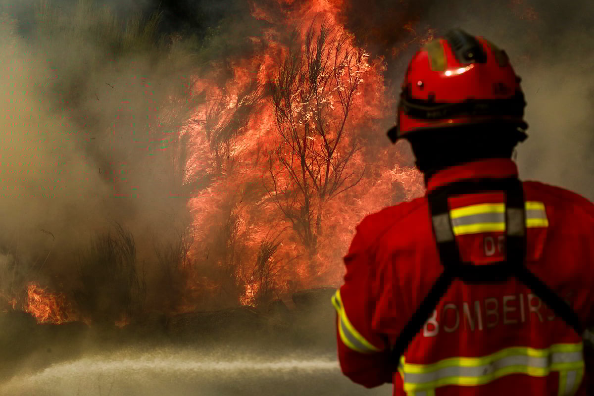 Fogo em Aljezur: Incêndio Avança Rápido e Fecha Estradas no Algarve