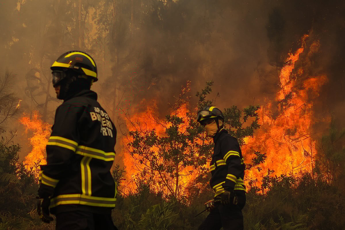 Incêndio Murça: Fogo Controlado Após Intensa Operação de Combate
