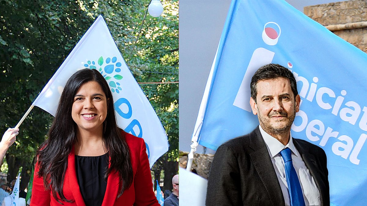 Debate PAN vs IL: Reflexão sobre Crime de Violação Une Inês de Sousa ...