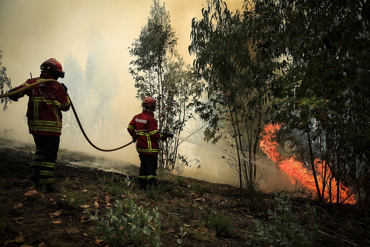 Incêndios em Pedrógão Grande: IC8 Interrompido por Fogo Intenso