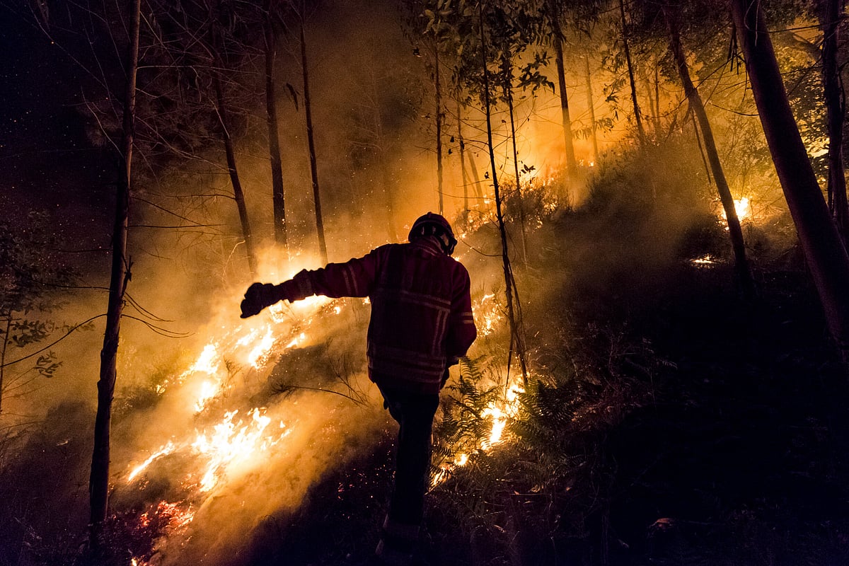 Comemoração Pedrógão: Oito Anos da Tragédia dos Incêndios