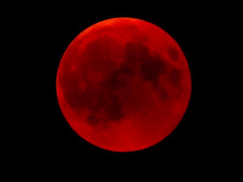 Eclipse Total da Lua Visível em Portugal na Madrugada de Sexta-feira