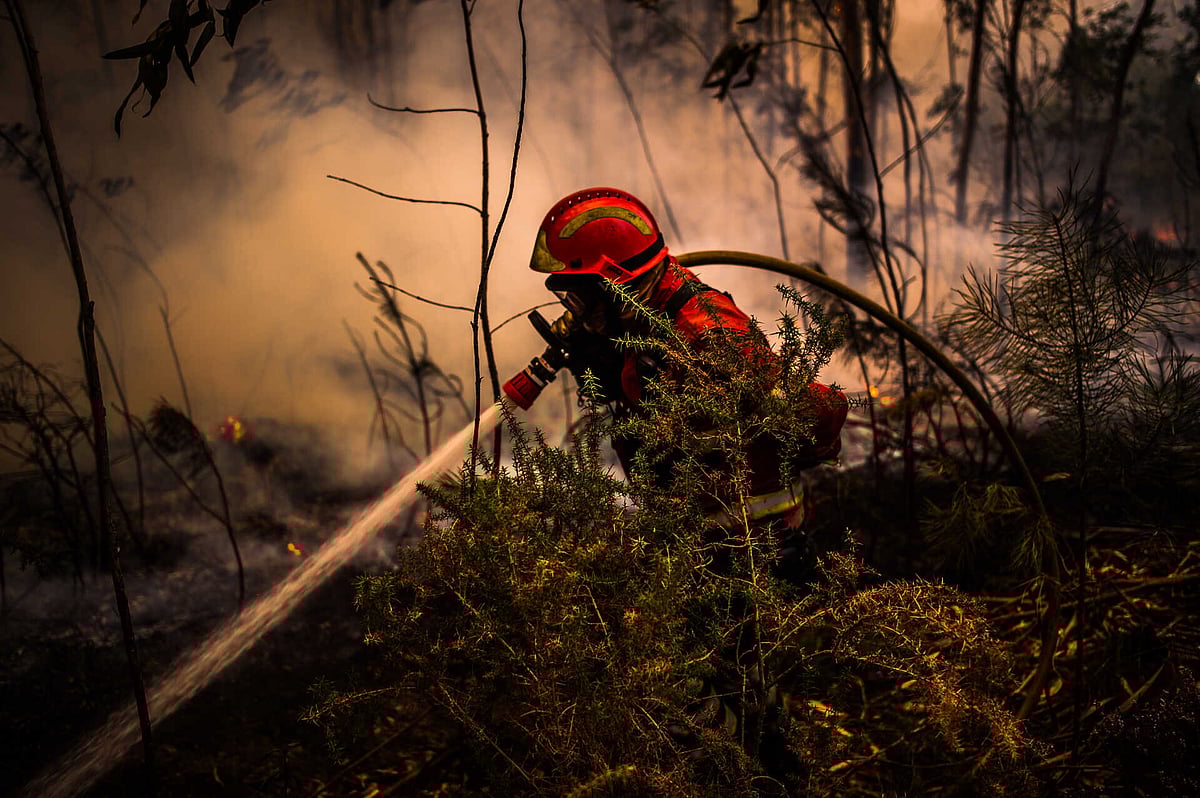 Fogo em Vimioso "já está dominado". Incêndio no Parque Natural de ...